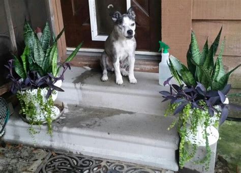 Stylish Homemade Planters For Your Home Decor