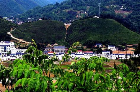 保康县磨儿坪磨儿坪在哪里保康磨儿坪石林第4页大山谷图库