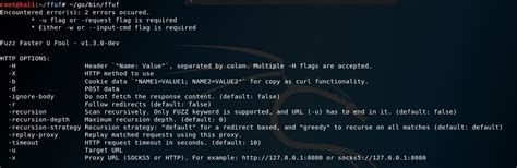 Ffuf 1 All About Testing