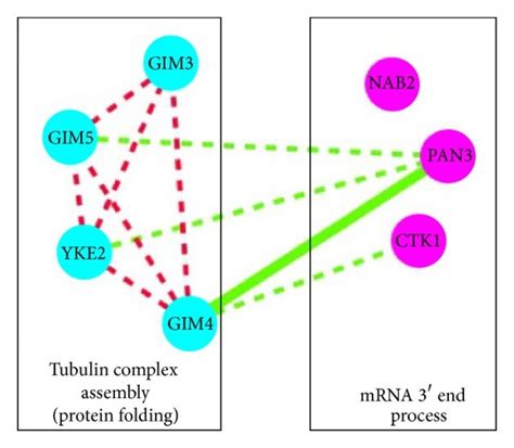 functional associations between functional modules identified by sparse