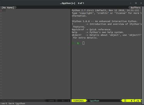 in vim 8 1 term ipython gives a different version of ipython than typing ipython on an