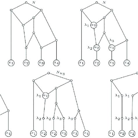 A Multi Labelled Tree Derived From An Internally Labelled Phylogenetic Download Scientific