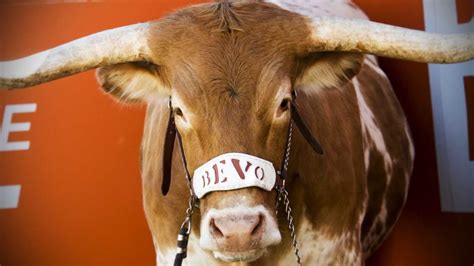 The University Of Texas At Austin Celebrates 102 Years Of Bevo