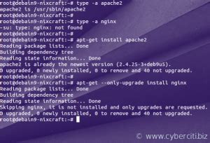 Debian Upgrade Or Update A Single Package Using Apt Get NixCraft