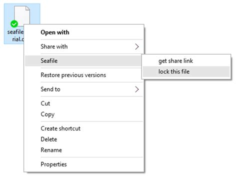 Locking Files Seafile User Manual