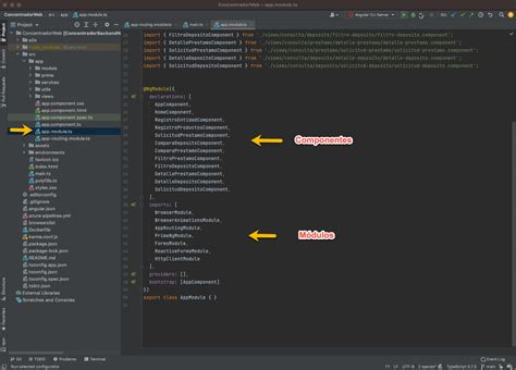 Pe Con Angular Y Netcore Parte 2 ~ Blogjoedayzpe