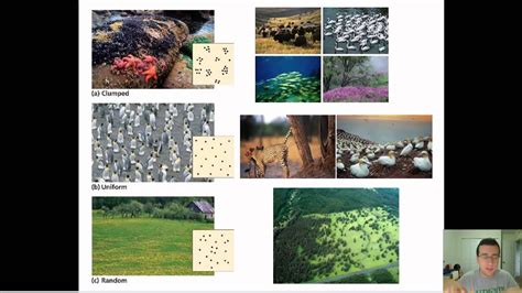 Population Dispersion