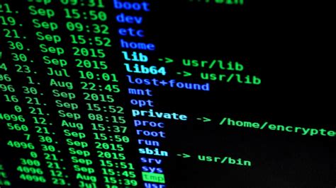 【チュートリアル】kaggle apiの使い方【コマンドだけで簡単実行がとても便利！導入方法と使い方を解説！｜データサイエンスナビ