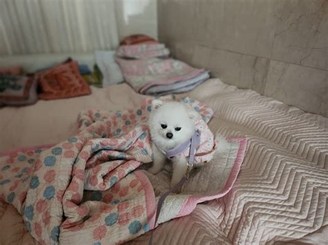주덕 사랑은 인간이 누릴 수 있는 가장 아름답고 숭고한 감정 중 하나이다 누군가를 깊이 아끼고 이해하며 함께하고자 하는 마음은 인간 존재의 의미를 되묻게 할 정도로