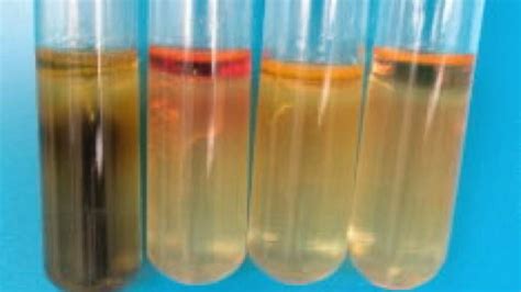 Molischs Test Objective Principle Procedure Result Biology Notes Online