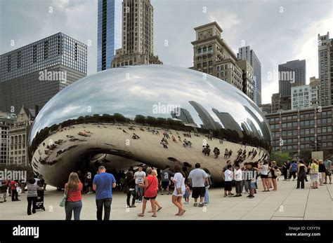 Chicago Bean Model At Sammy Parra Blog