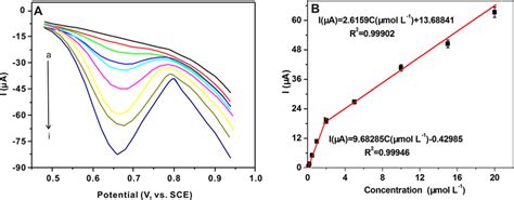 Dpv Curves A Of The Mipabp Electrode In Different Concentrations Of Download Scientific