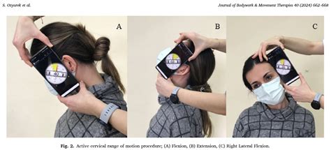 The Influence Of Hamstring Flexibility On Ccft Performance Physiotutors