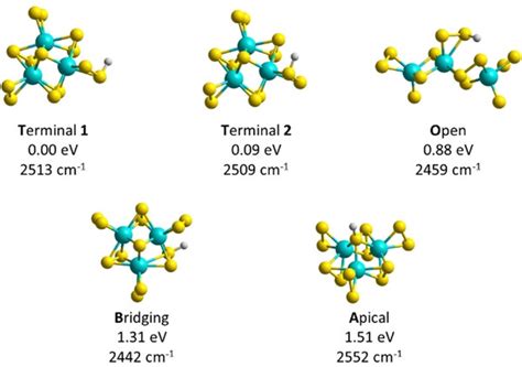 Mo S As A Model System For Hydrogen Evolution Catalysis By MoSx Probing Protonation Sites