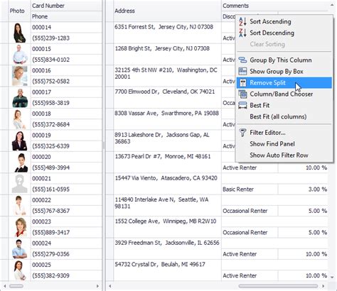 WinForms Grid Split Presentation View
