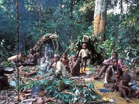 Pygmy People Hunting