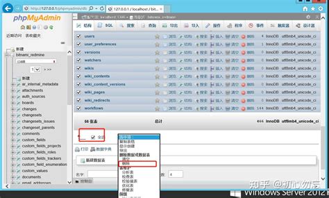 Redmine项目管理系统安装与迁移 知乎 Redmine项目管理系统安装与迁移 知乎