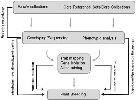 Dna Genotyping And Sequencing As Integral Components For Conservation