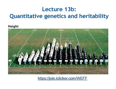 Lecture 13b Quantitative Genetics And Heritability Insights 1001a