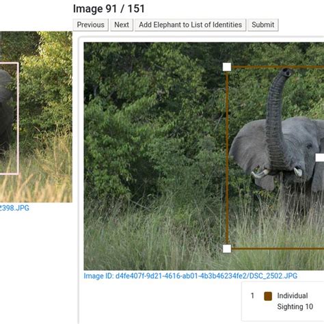 Bounding Box Annotation Interface Download Scientific Diagram
