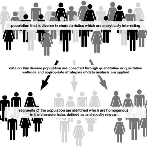 The General Logic Of Segmentation Analyses Download Scientific Diagram