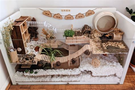 Natural Moss Mat Hamster Multi Room Moss Terrace Hamster Cage Etsy Artofit