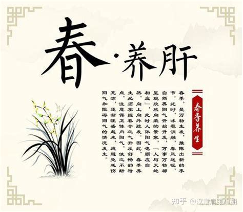 春季养肝正当时 知乎