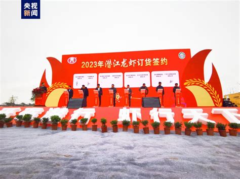 湖北潜江小龙虾开捕，新一轮小龙虾消费热潮来袭 极目新闻