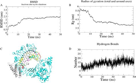 The Md Simulation Results A Rmsd Of The Protein Backbone B Rg