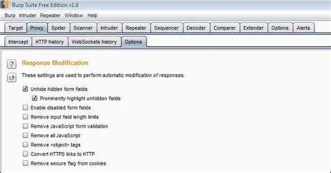 Security Testing Buffer Overflows
