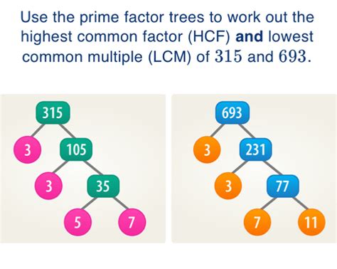 Solved Use The Prime Factor Trees To Work Out The Highest Common Factor Hcf And Lowest Common