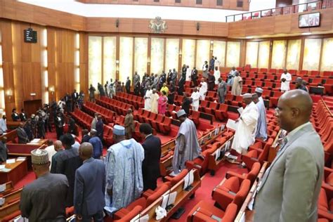 Csos Condemn Removal Of Sex Education From Curriculum — Edugist