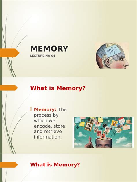 Lecture No 04 Memory Pdf Memory Long Term Memory