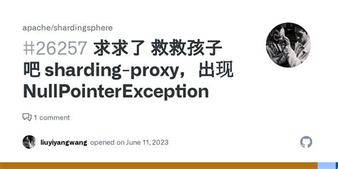 求求了 救救孩子吧 Sharding Proxy，出现nullpointerexception · Issue 26257 · Apache
