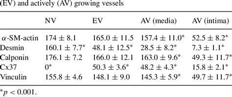 Quantitative Analysis Of Immunofluorescence Density Au µm 2 Of α Sm Download Table