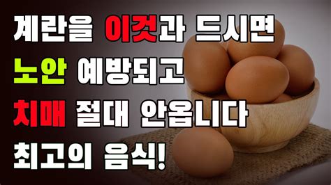 계란 그냥 먹지 마세요 달걀 이것과 같이 먹으면 치매 사라지고 눈이 밝아집니다 Youtube