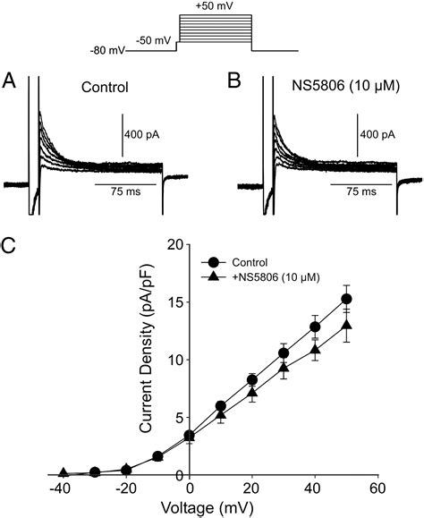 Identification And Characterization Of A Transient Outward K Current In Human Induced