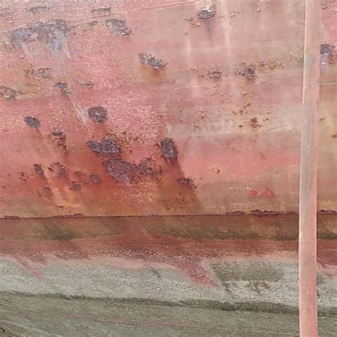 Rust Detection And Classification Instance Segmentation Dataset By Mcast