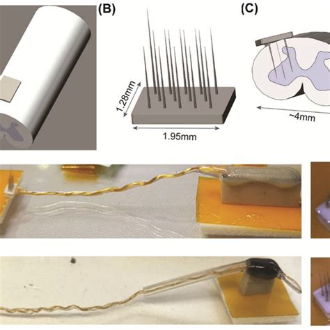 Floating Microelectrode Array Fma Schematics For Spinal Implant A Download Scientific