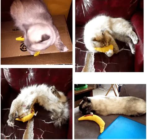 Yeo Yellow Banana Catnip Toy Floppycats™