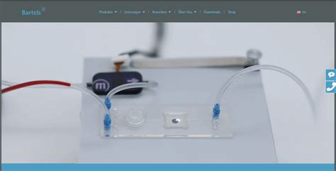 Different Header On Website And Shop Exported And Imported A Template