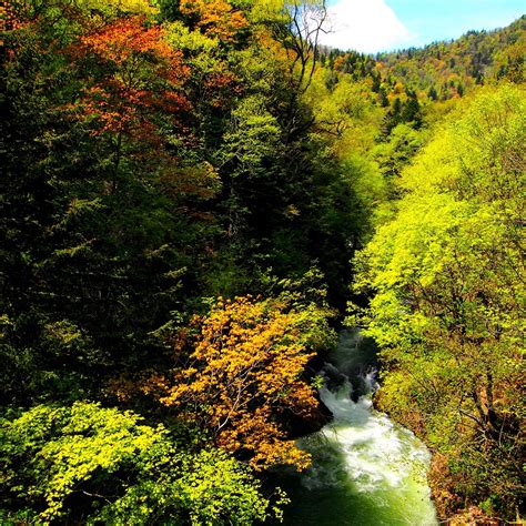 단풍다리 조잔케이 관광협회 공식 홈페이지