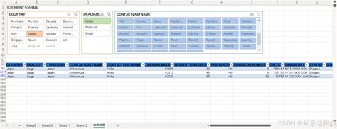 Excel 技巧23 在excel中用切片器做出查询效果★★★）excel Slicer Csdn博客