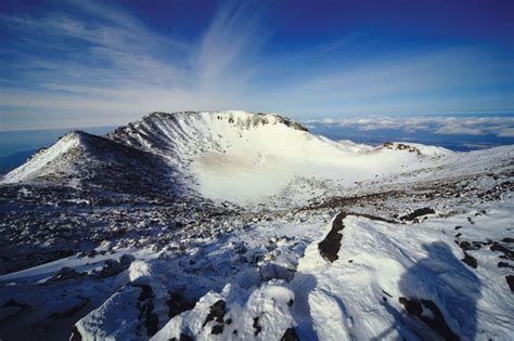 [크리스마스트리 가이드 제주도 한라산] 켜켜이 쌓인 눈이 자아내는 이국 풍경이 압권