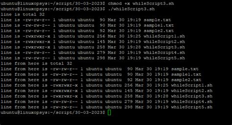 Bash While Read Line By Line