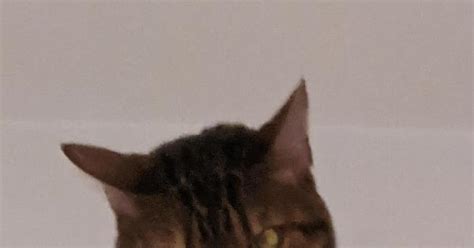 What You Talking About Willis Album On Imgur