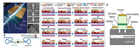 Heterogeneously Integrated Passively Mode Locked Quantum Dot Laser On Silicon