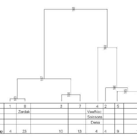 Dendrogram Showing The Clustering Patterns Of The 85 Durum Wheat