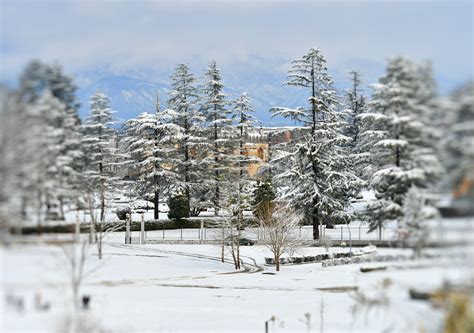 ლევან გაბეჩავა ლევან გაბეჩავა Added A New Photo