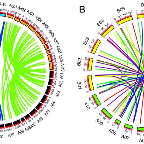 Collinearity Analysis Of Snare Genes A Synteny Analysis Of Snare Download Scientific Diagram
